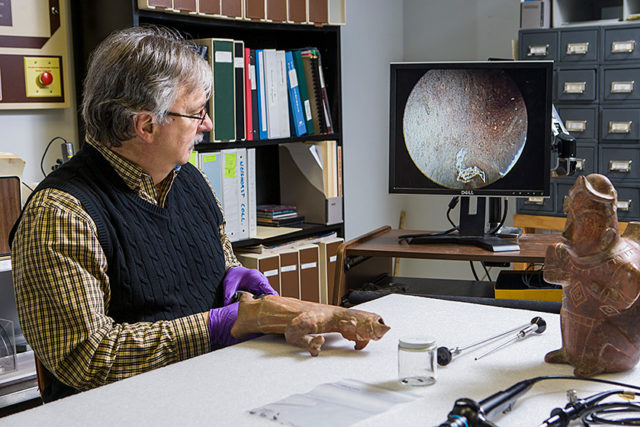 McFarlin Library reaches new heights in the TU community - The ...