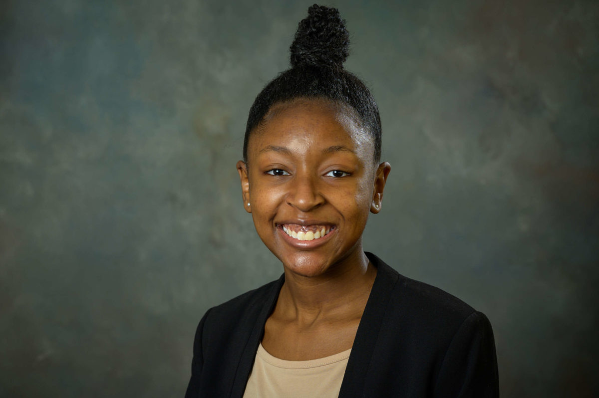 Collecting, exhibiting and restoring at the Memphis Brooks Museum of ...