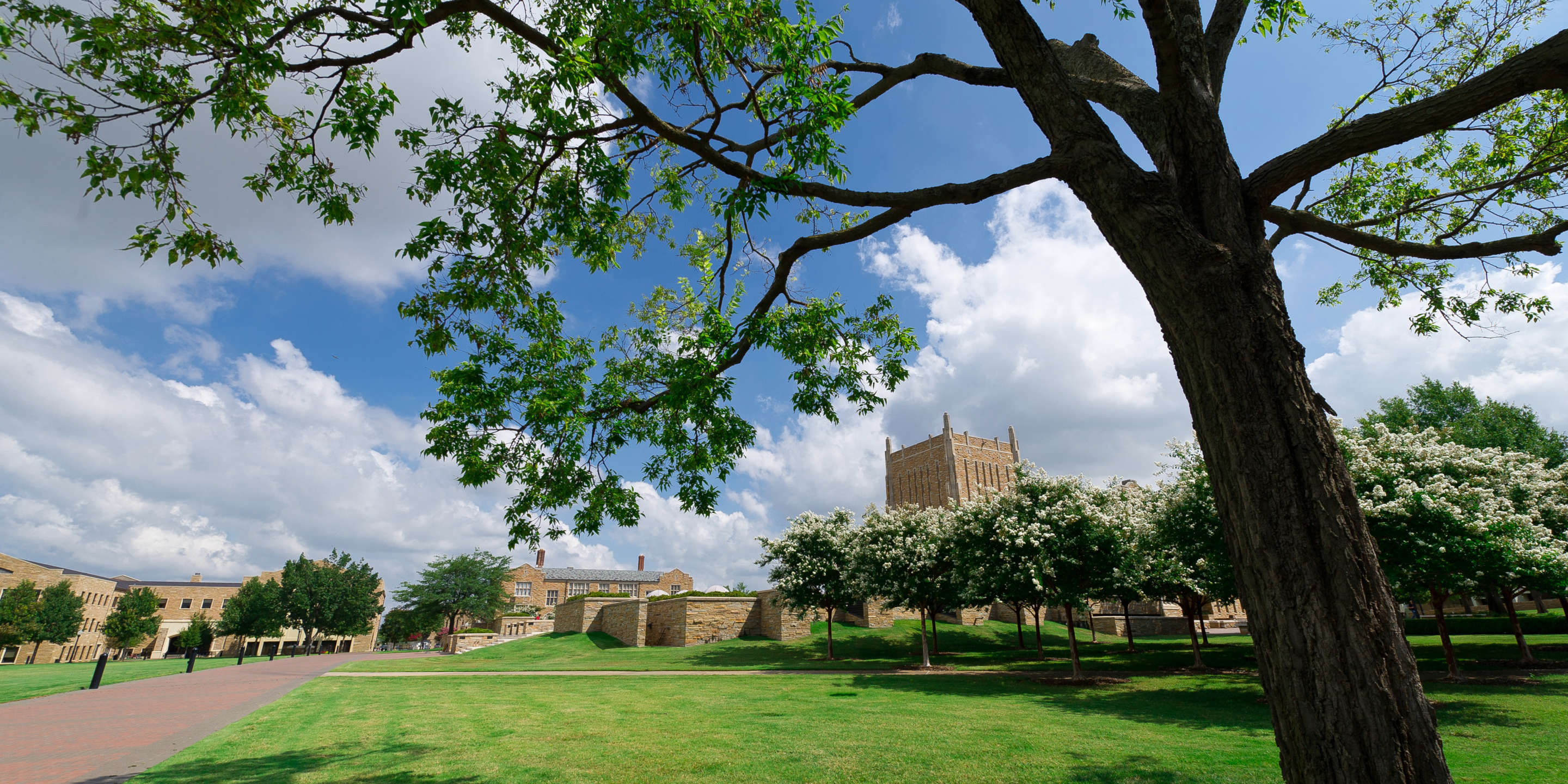 Professor Inspiration - The University of Tulsa