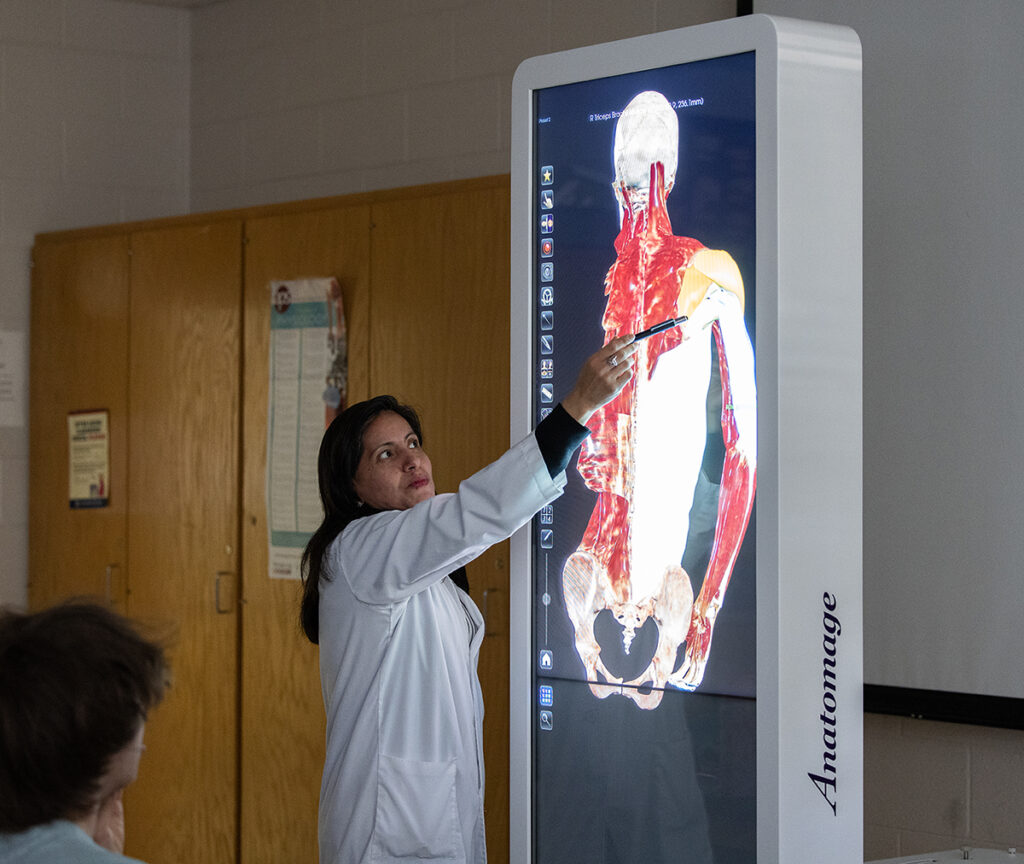 Digitized human cadavers elevate hands-on anatomy, physiology education ...