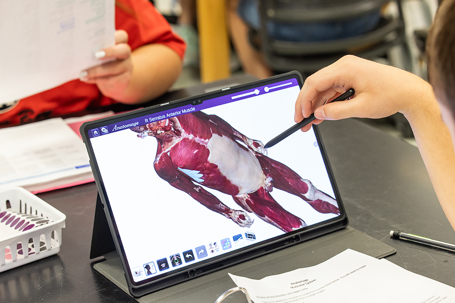 Digitized human cadavers elevate hands-on anatomy, physiology education ...